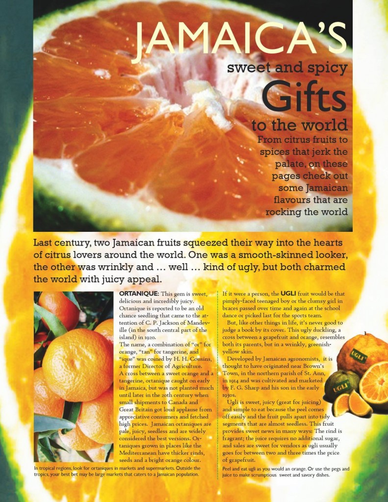 juicy story – JamaicanEats Magazine